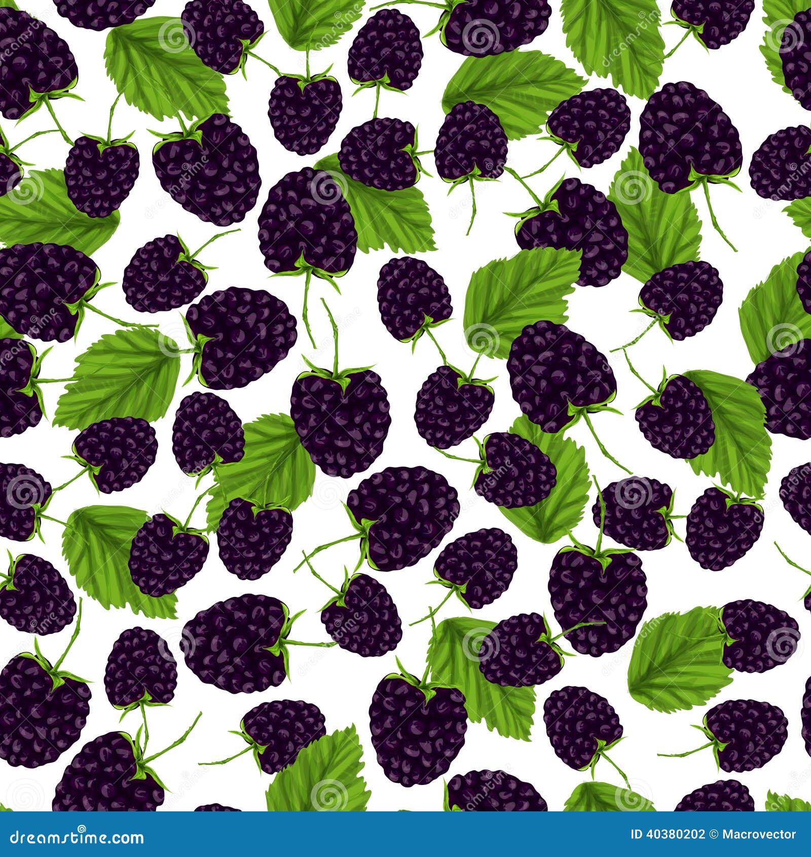 Blackberry Seamless Pattern Stock Vector - Illustration of mellow ...