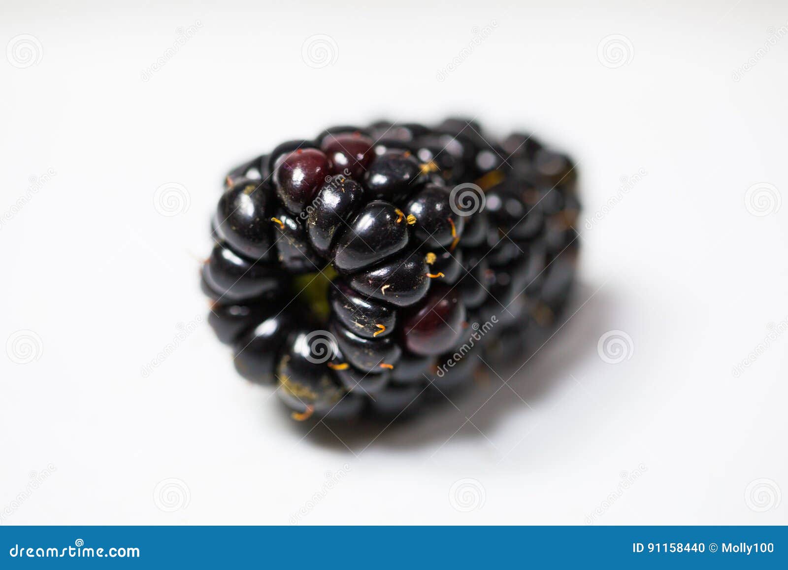 Blackberry Single, White Background Stock Photo - Image of nature, path ...