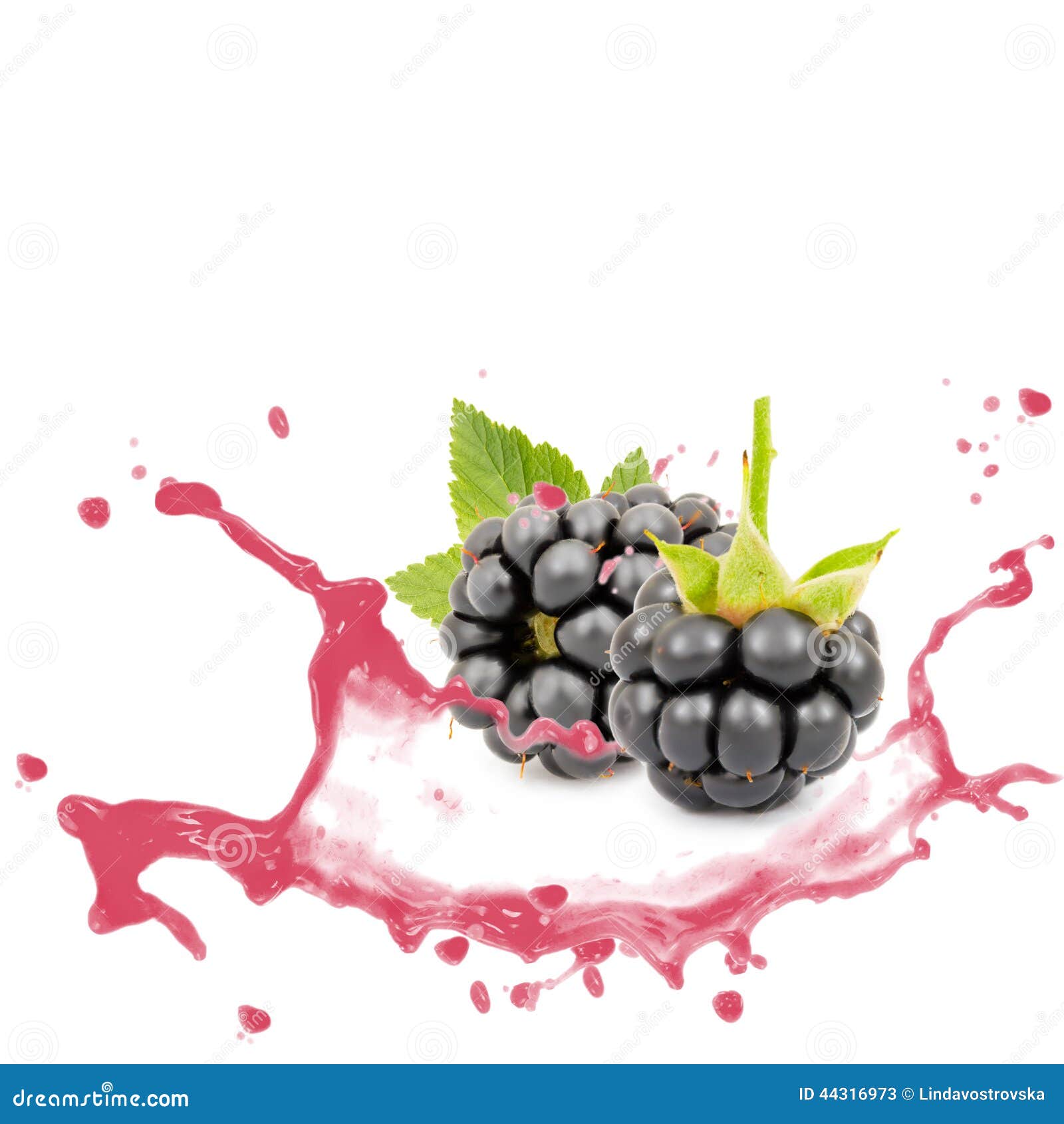 Blackberry splash stock image. Image of delicious, freshness - 44316973