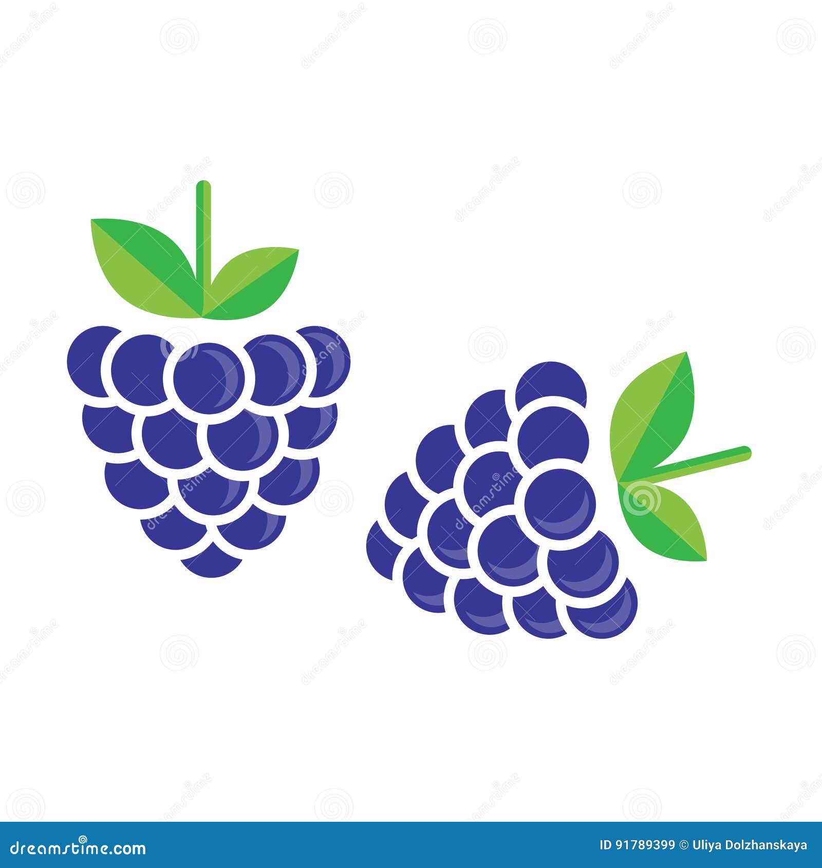 Blackberry vector stock vector. Illustration of health - 91789399
