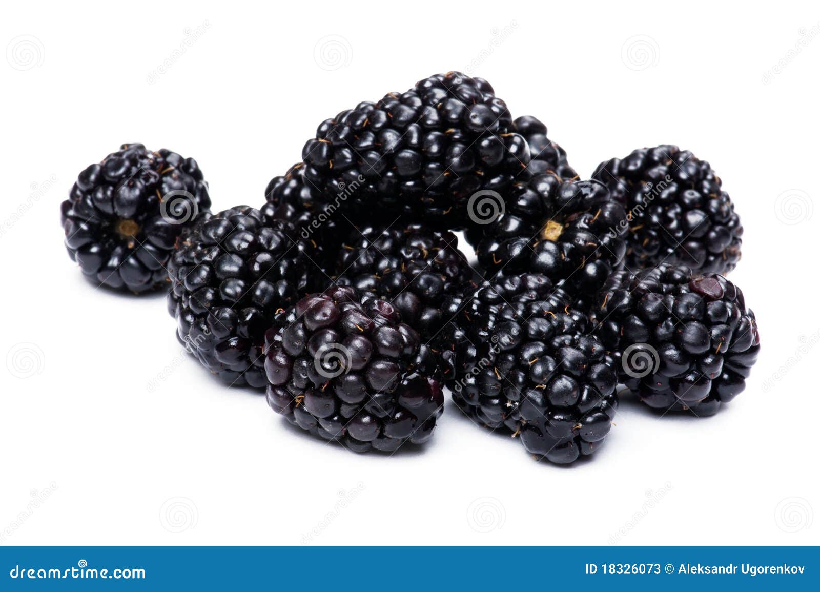 Blackberry on White Background Stock Image - Image of healthy, fruit ...