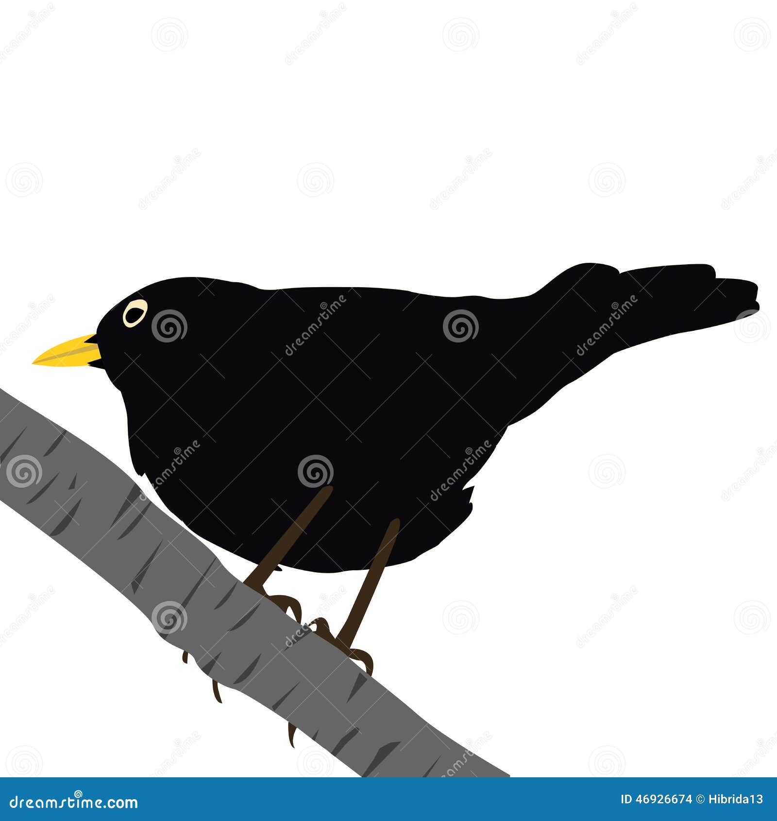 Blackbird on a branch stock vector. Illustration of feather - 46926674
