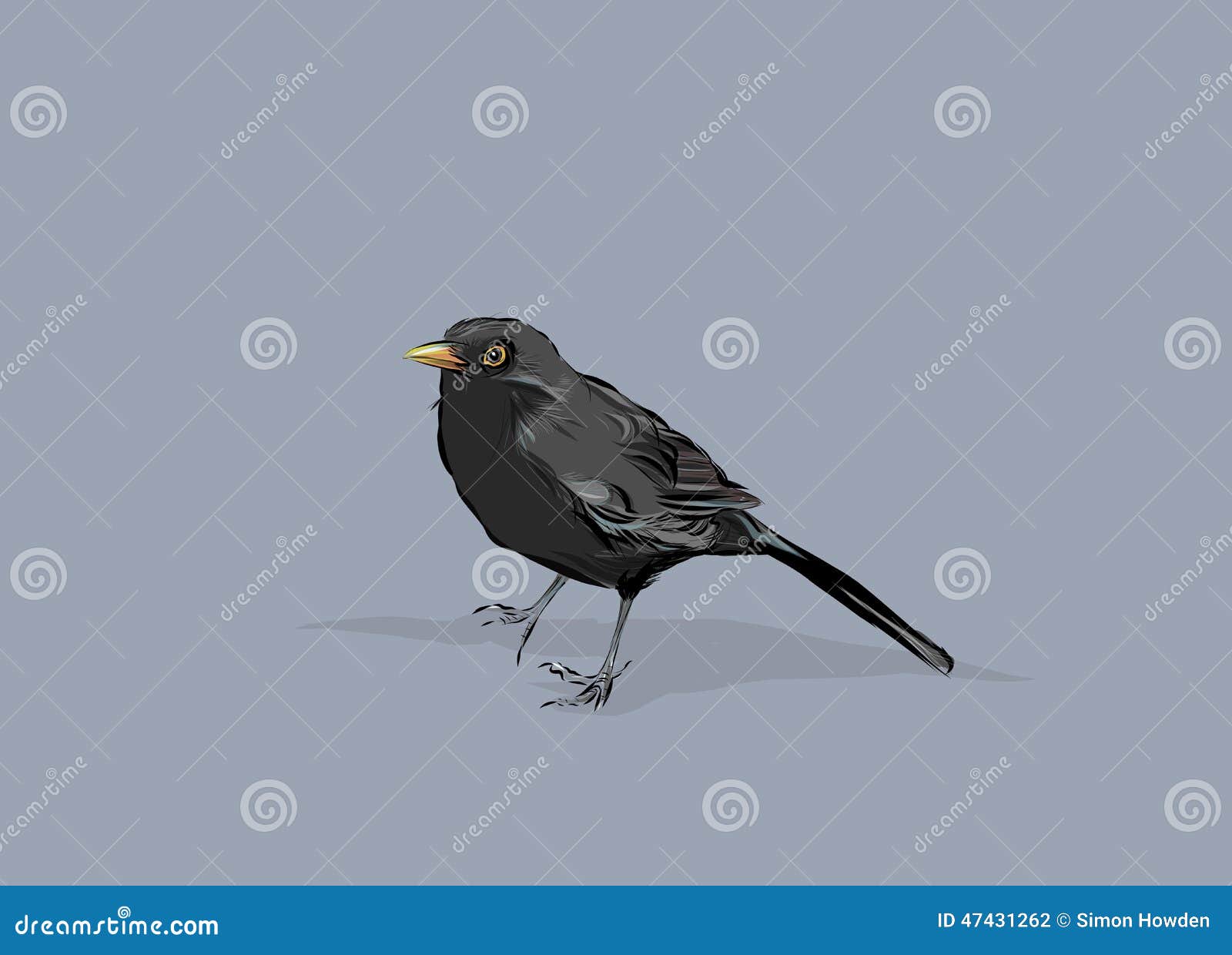Blackbird Vector Illustration | CartoonDealer.com #47431262