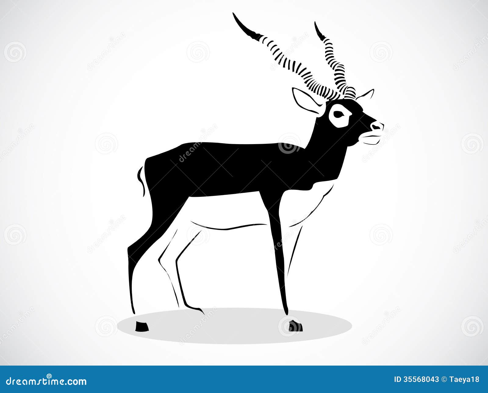 Blackbuck stock vector. Illustration of nature, wildlife - 35568043