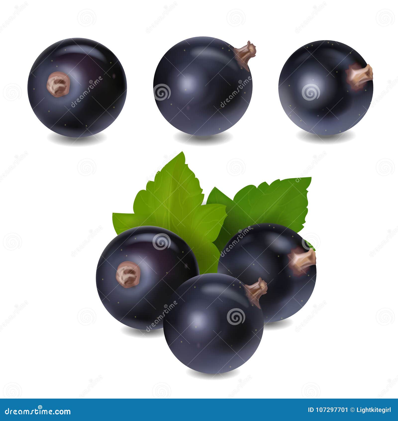 Blackcurrant Stock Illustrations – 1,999 Blackcurrant Stock ...