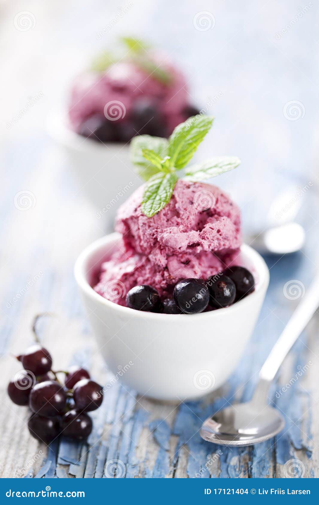 Blackcurrant dessert stock photo. Image of black, sorbet - 17121404