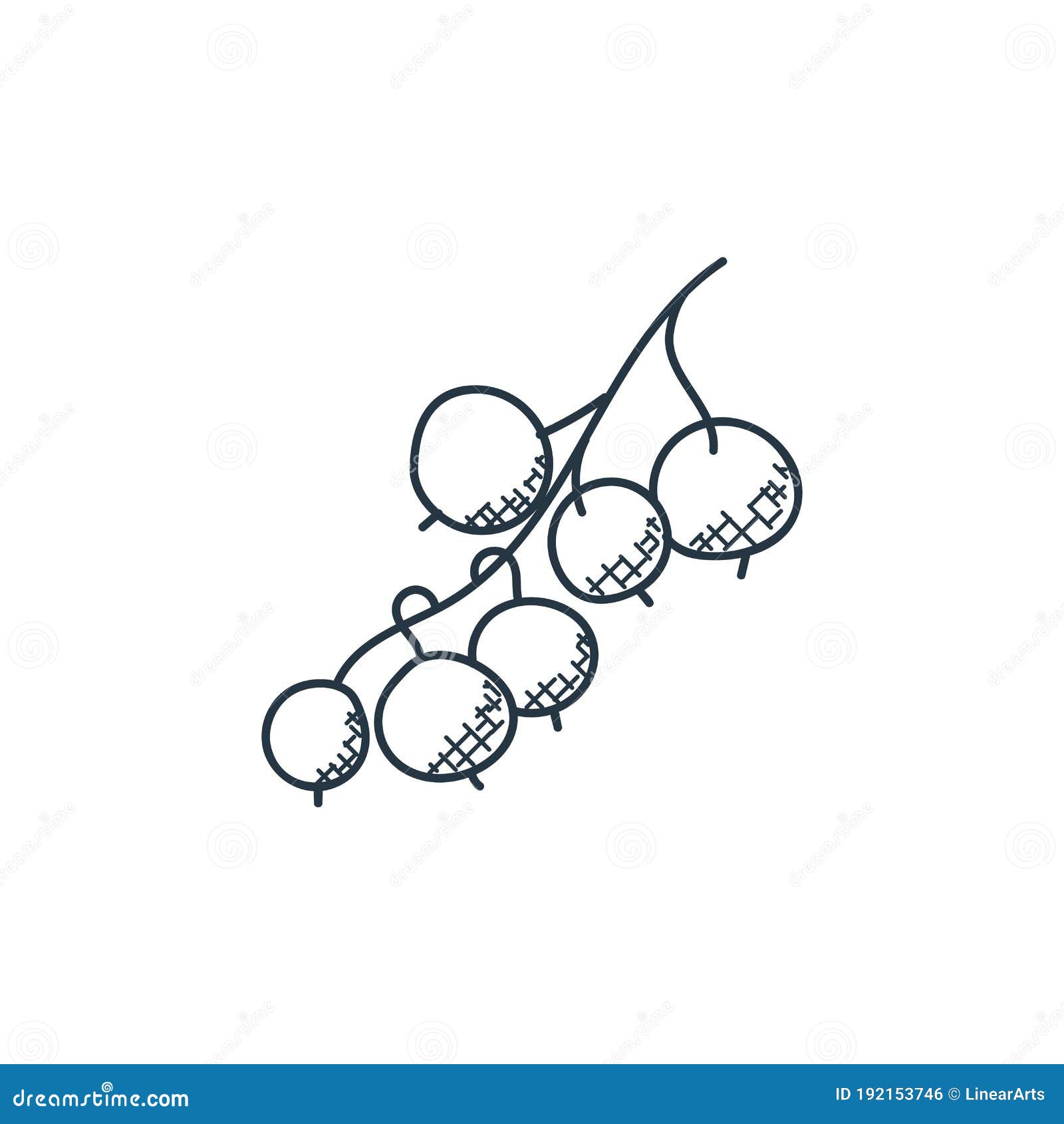 Blackcurrant Icon Vector from Food Hand Drawn Concept. Thin Line ...