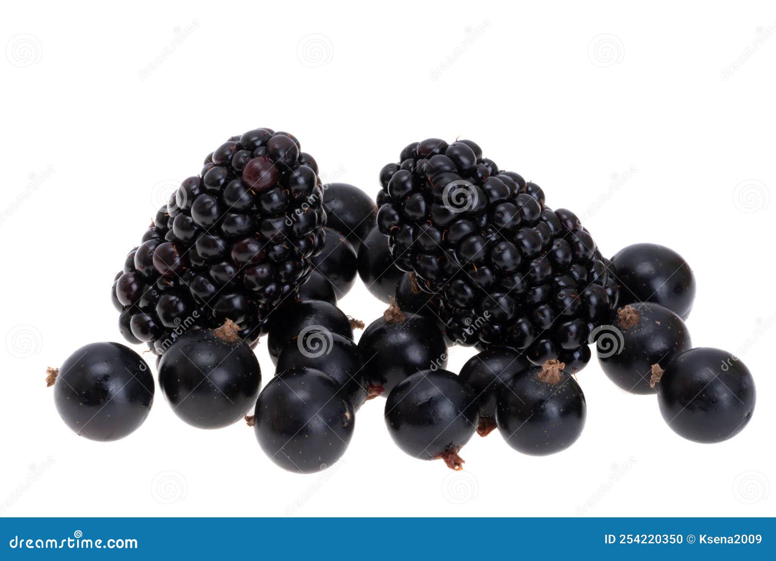 Blackcurrant Fruits Isolated Stock Photo - Image of appetizer, currant ...