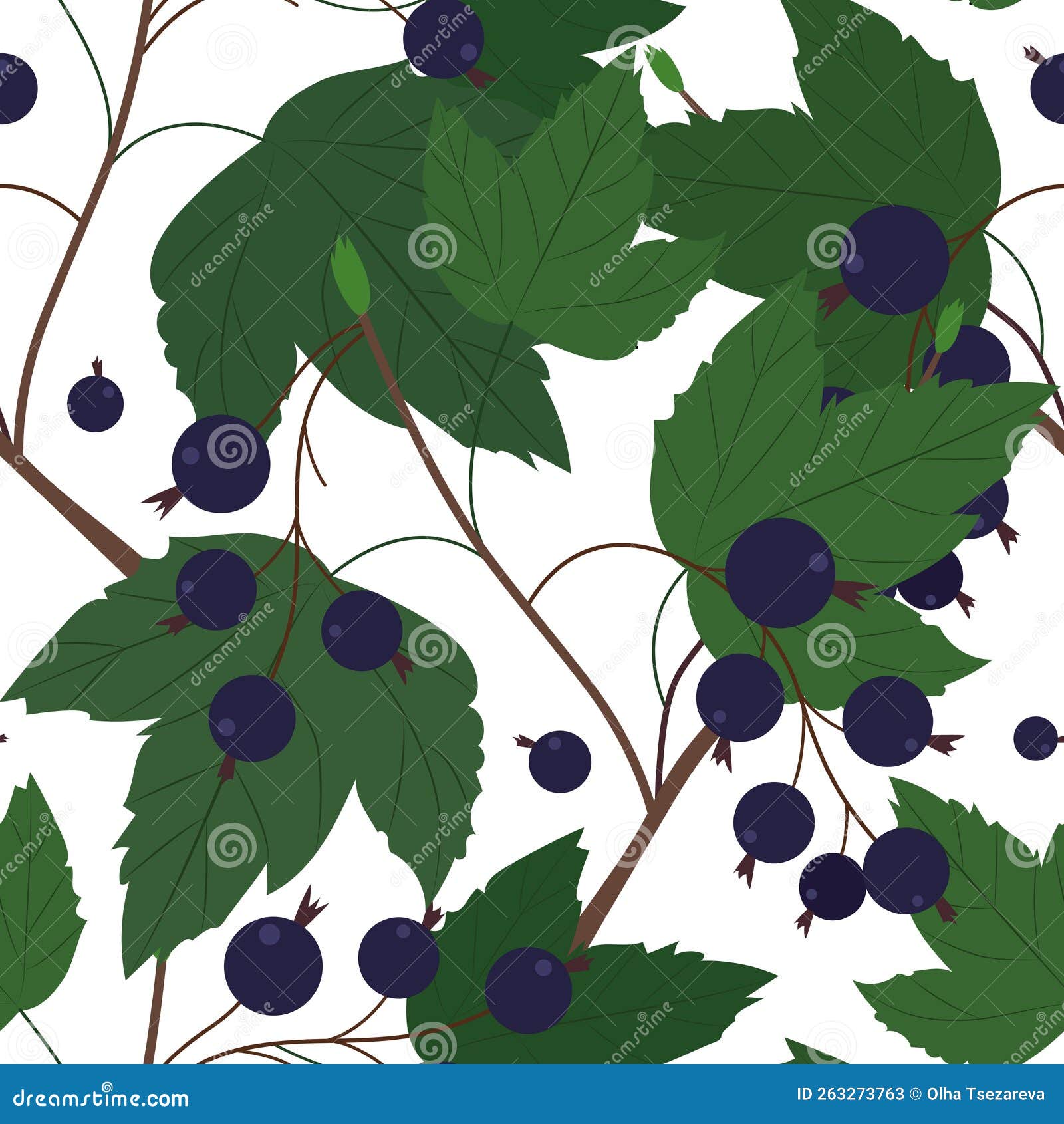 Blackcurrant and Leaves Isolated on a White Background. Seamless ...