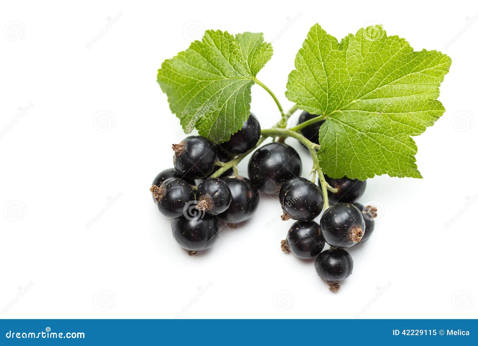 Blackcurrant stock image. Image of dessert, drink, delicious - 42229115