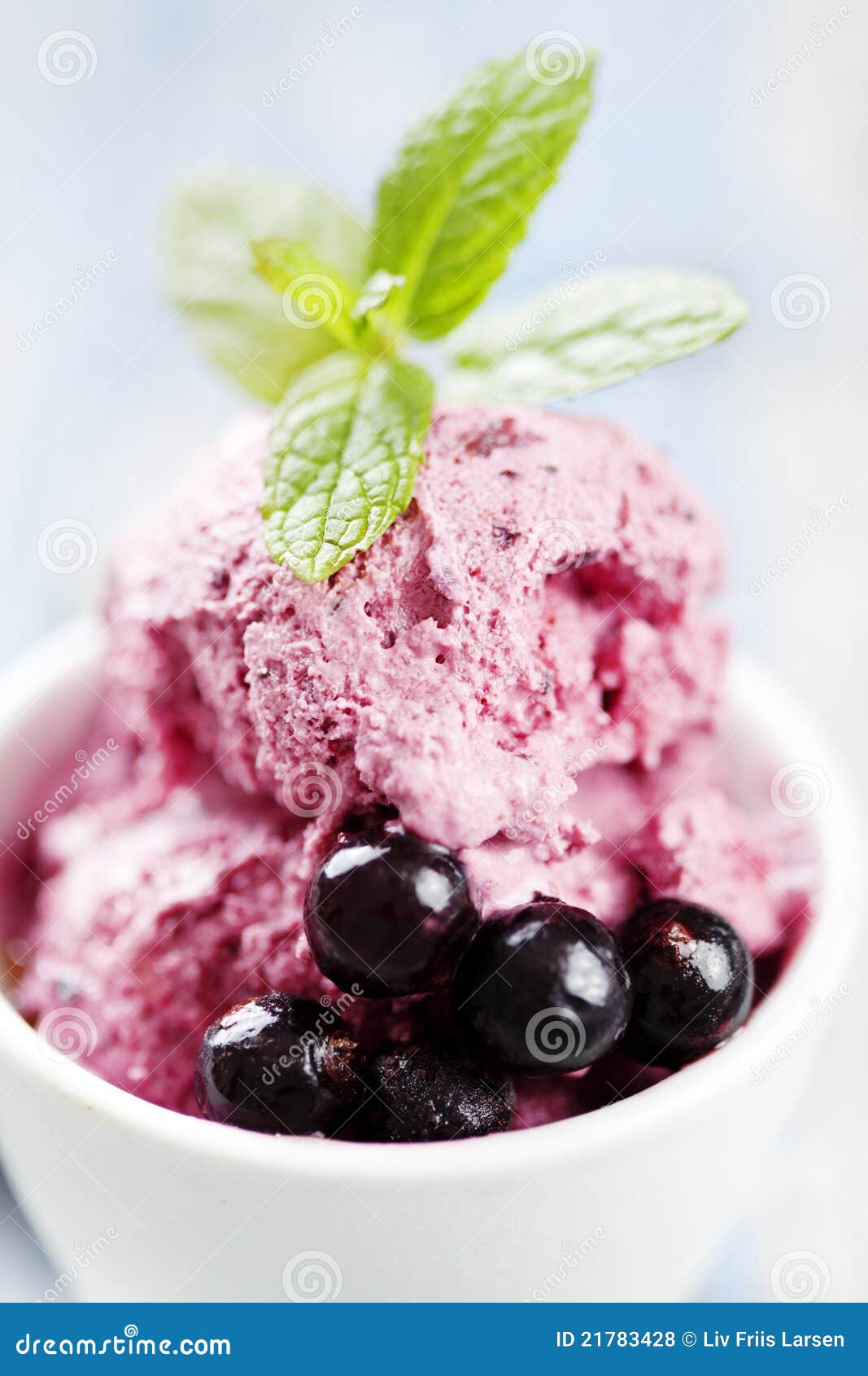Blackcurrant sorbet stock photo. Image of space, icecream - 21783428