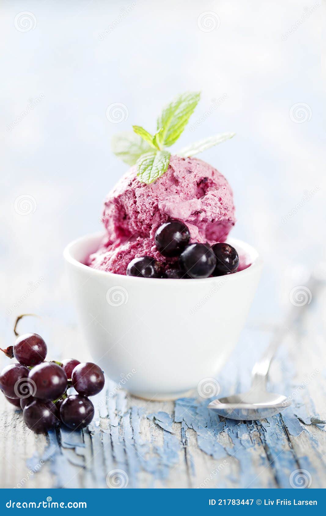 Blackcurrant sorbet stock image. Image of fruit, dessert - 21783447