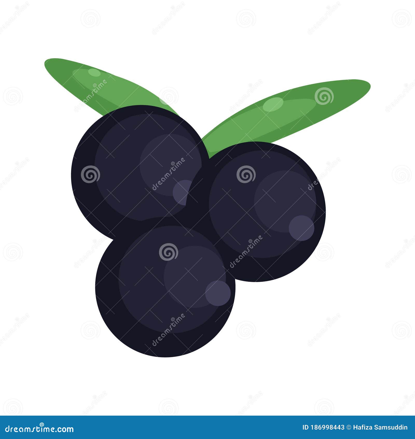 Blackcurrant. Vector Illustration Decorative Design Stock Vector ...