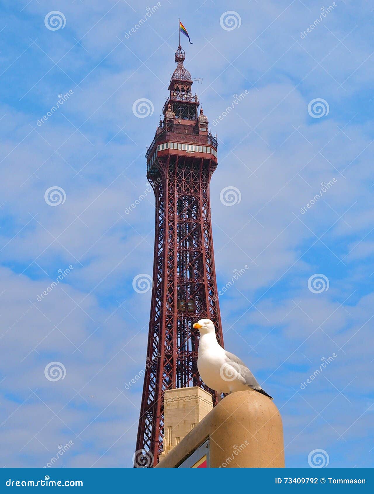Blackpool stock photo. Image of gull, construction, landmark - 73409792