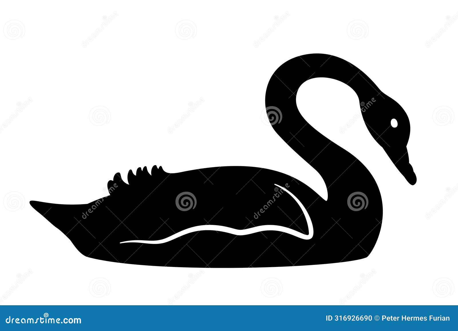 Swan Outline Set Detailed Vector Illustrations On Clean White ...