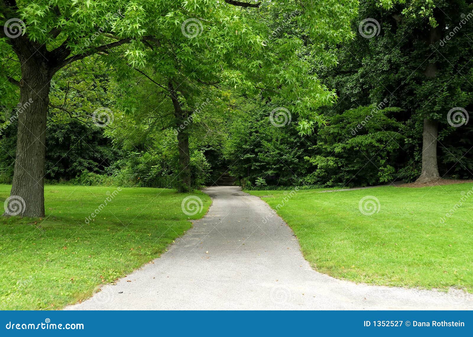 Blacktop Path stock image. Image of park, search, explore - 1352527