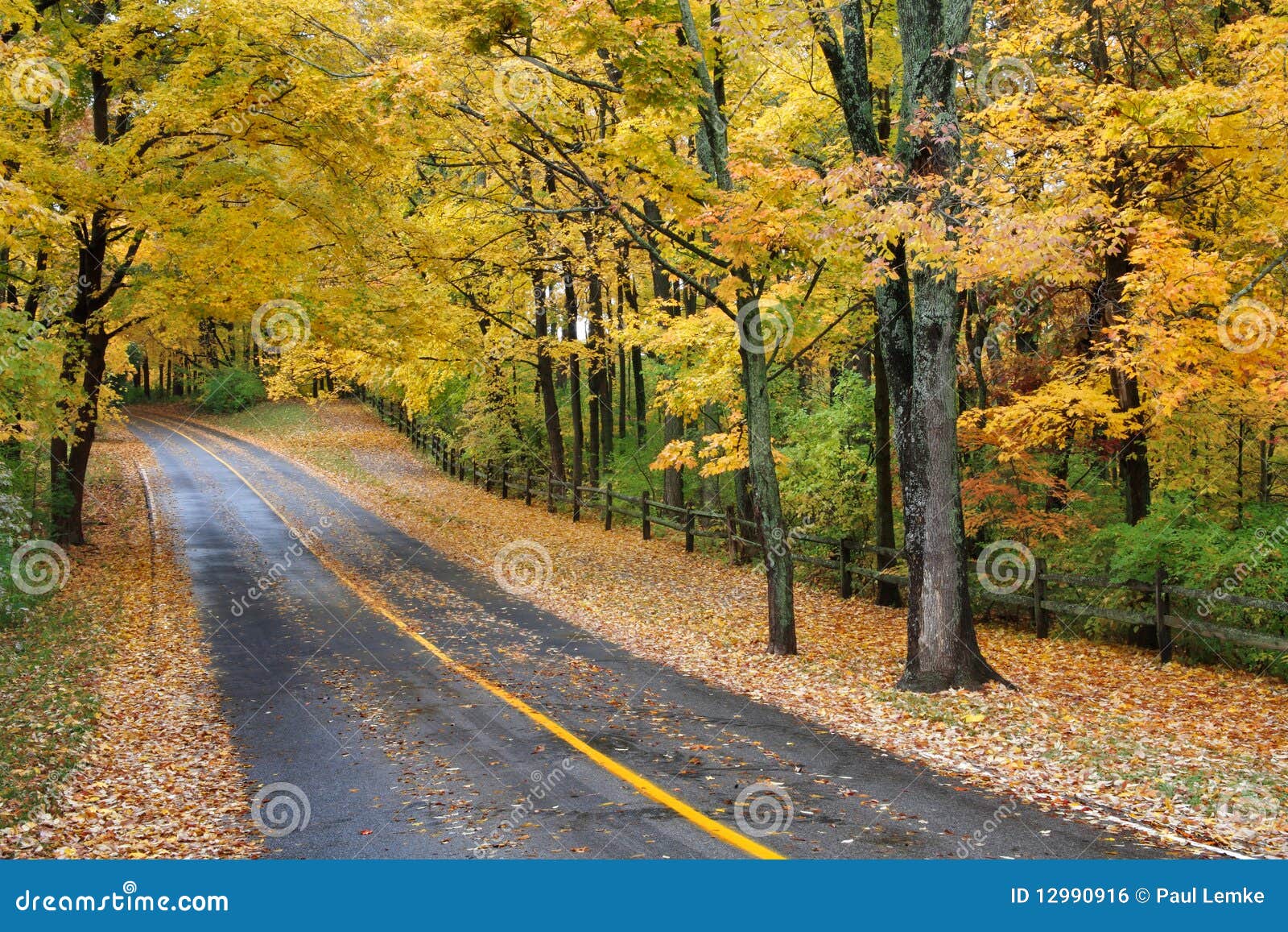 Blacktop Road stock photo. Image of curving, greenspace - 12990916