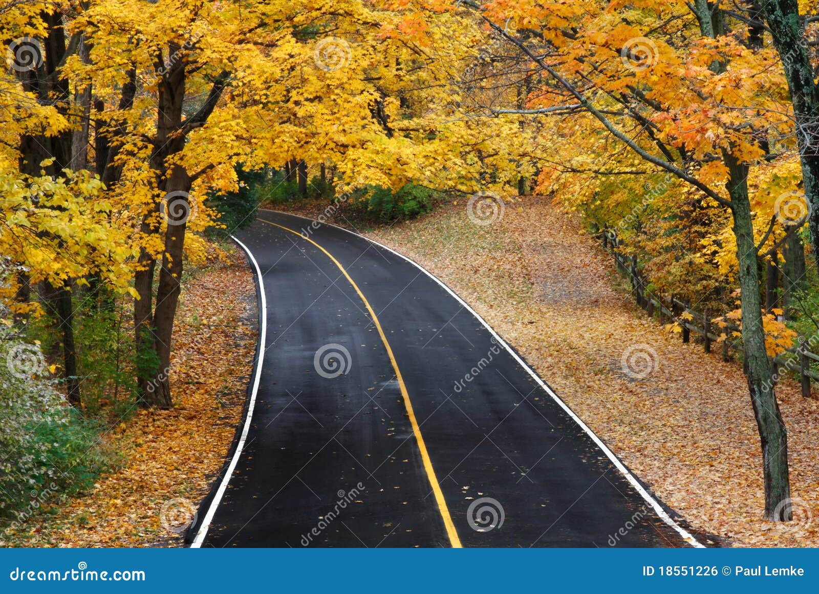 Blacktop Road stock photo. Image of green, curving, rural - 18551226