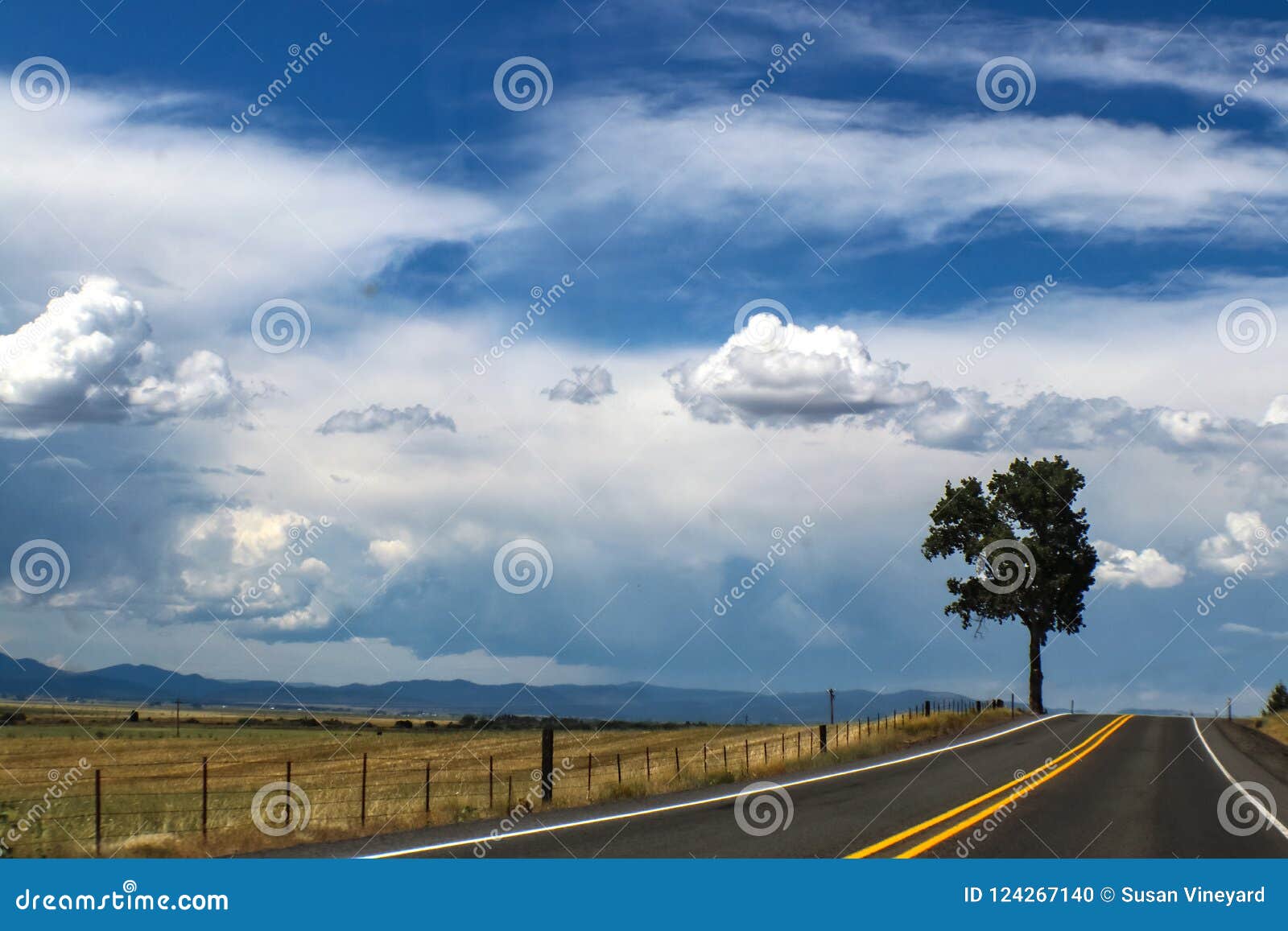 Blacktopped Road with One Tree on Horizon and Mountains and Rain on the ...