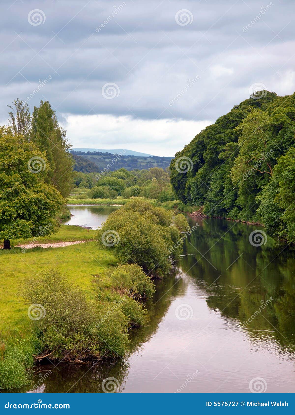 Blackwater River stock image. Image of peace, river, trees - 5576727