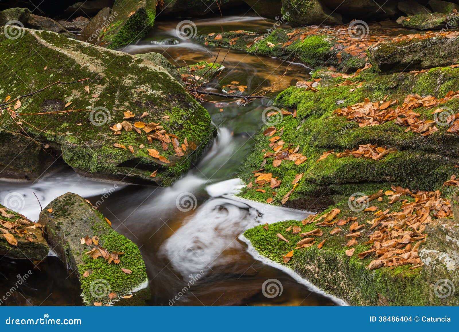 Blackwater Waterfall Cascade Stock Photo - Image of flow, bright: 38486404