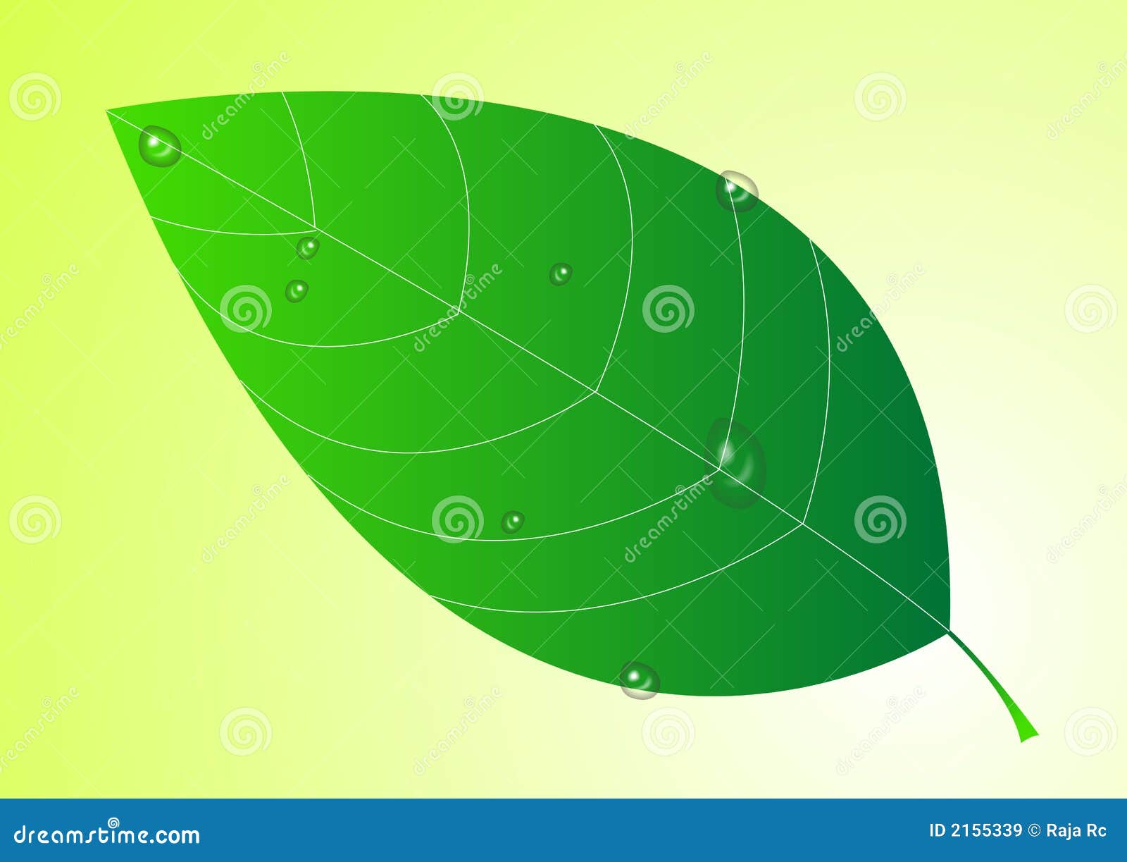 Blad vector illustratie. Illustration of vers, groen, keerkring - 2155339