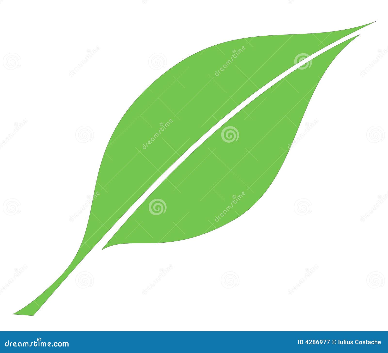 Blad vector illustratie. Illustration of organisch, buiten - 4286977