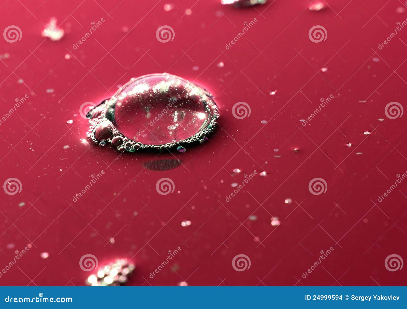 Bladder stock photo. Image of color, blain, health, level - 24999594