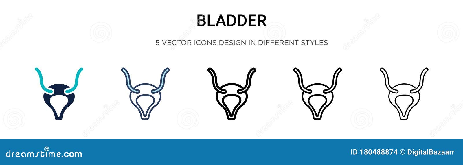 Bladder Icon in Filled, Thin Line, Outline and Stroke Style. Vector ...