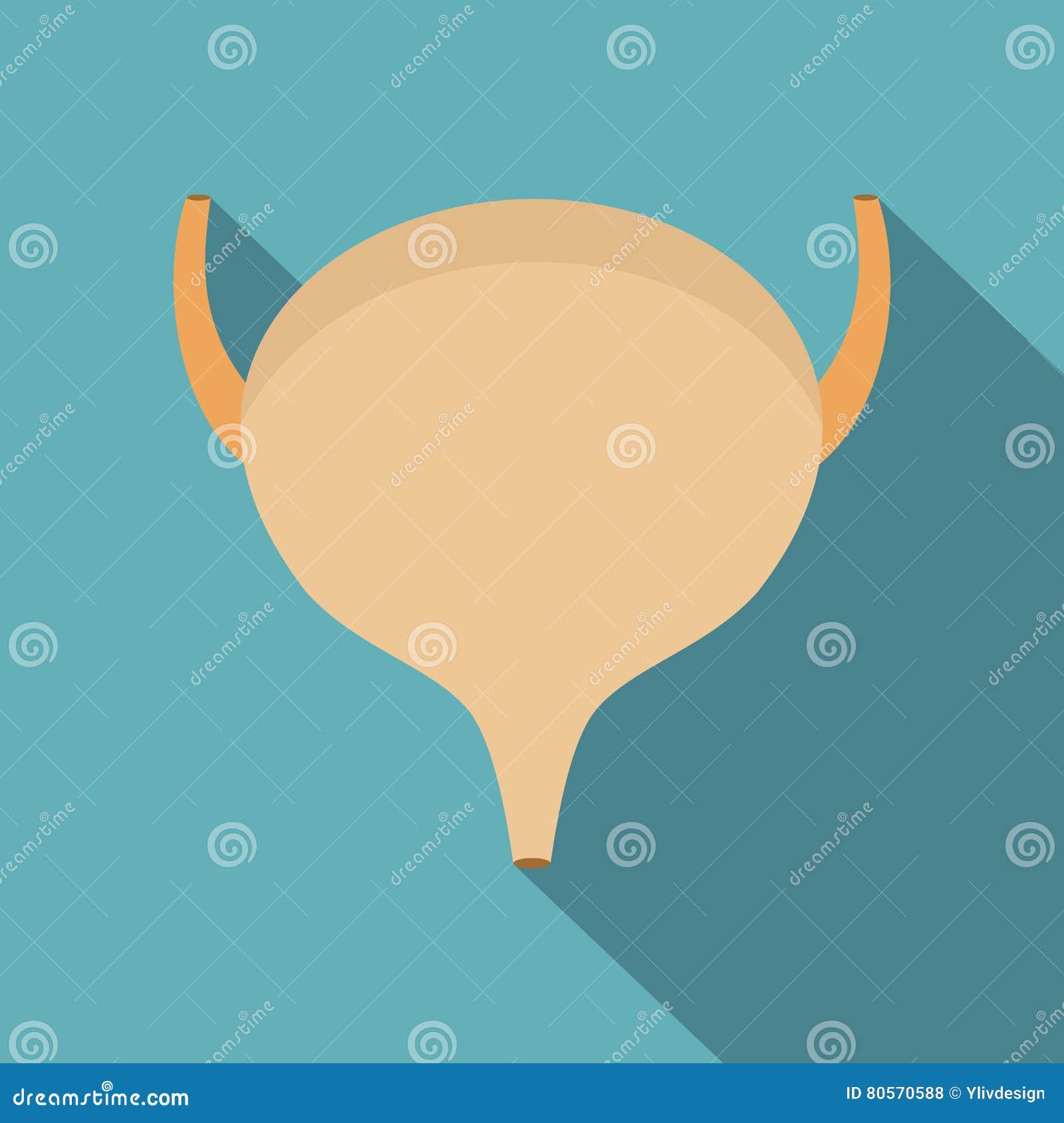 Bladder Icon, Flat Style Vector Illustration | CartoonDealer.com #80570588