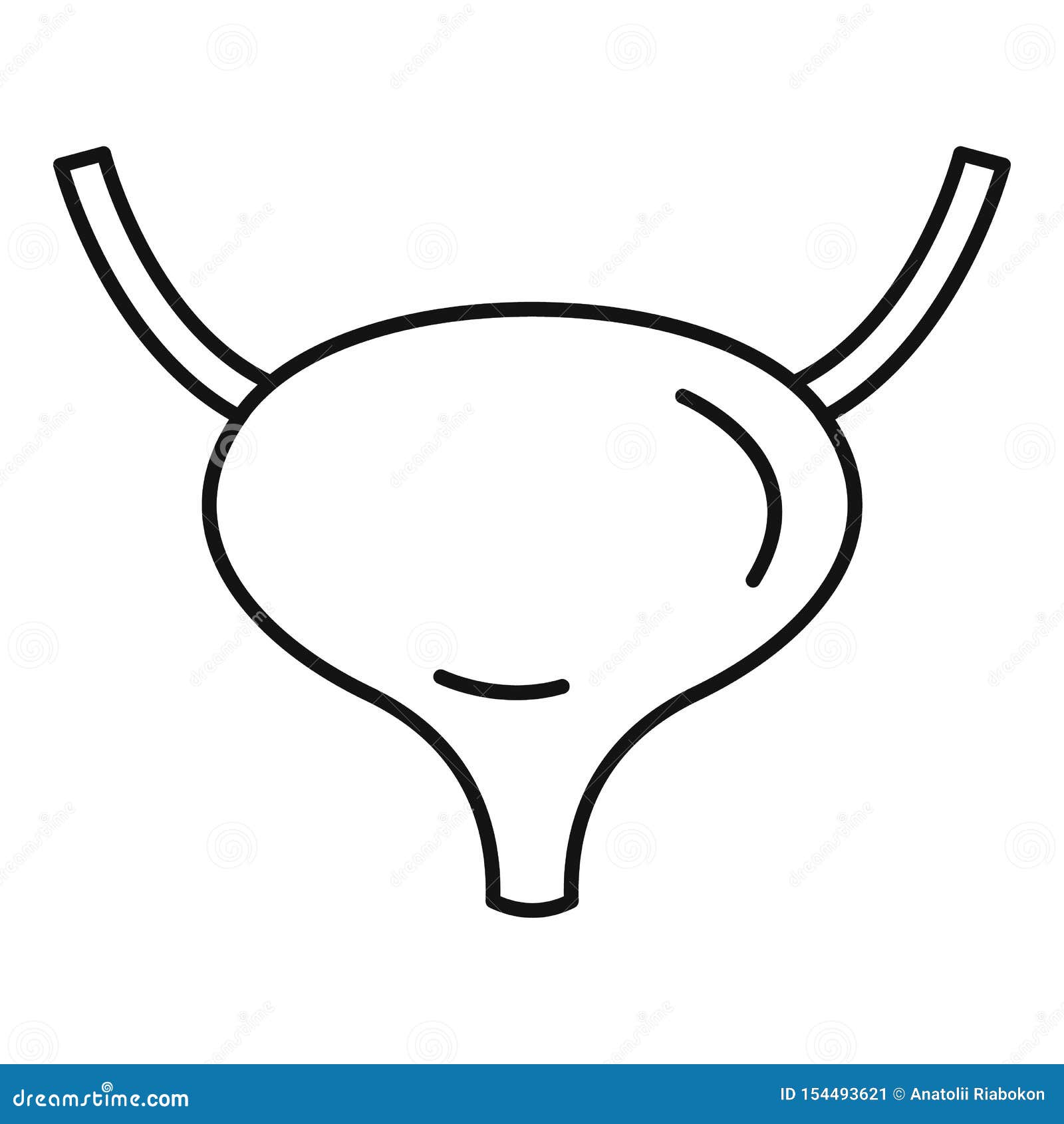 Bladder Icon, Outline Style Stock Vector - Illustration of line, icon ... Bladder Icon, Outline Style Stock Vector - Illustration of line, icon ...
