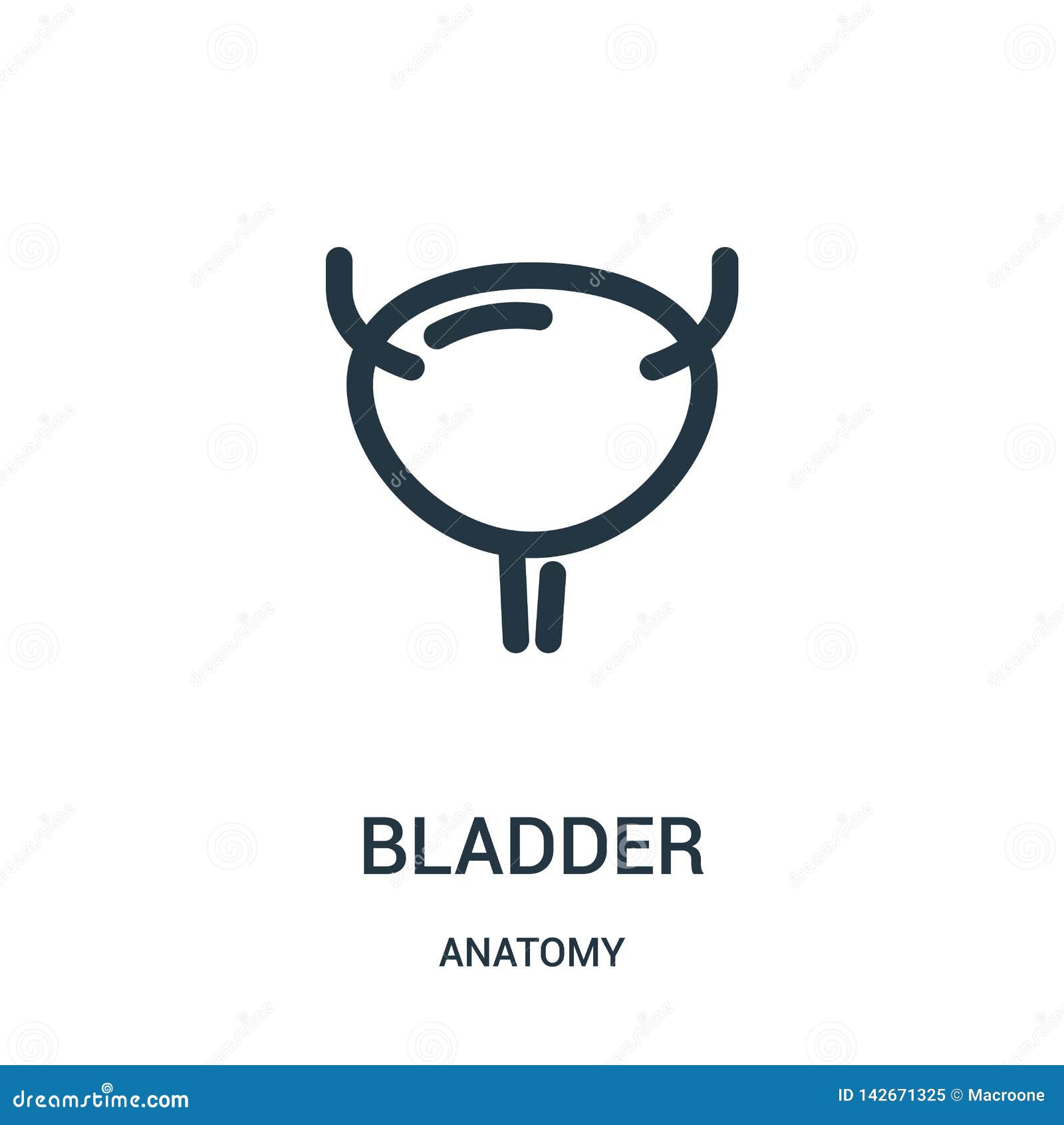 Bladder Icon Vector from Anatomy Collection. Thin Line Bladder Outline ...