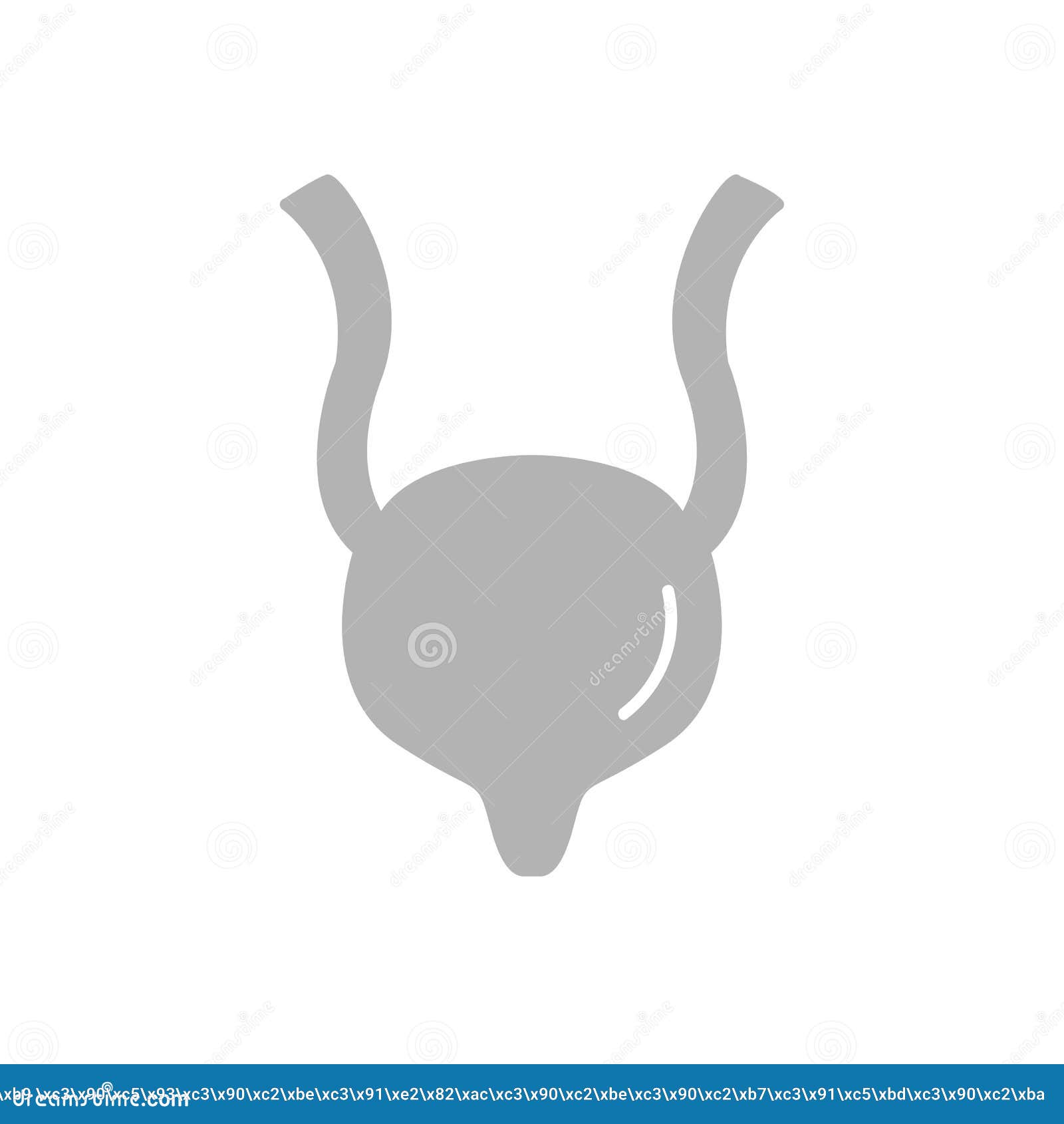 Bladder Icon on White Background, Vector Illustration Stock Vector ...