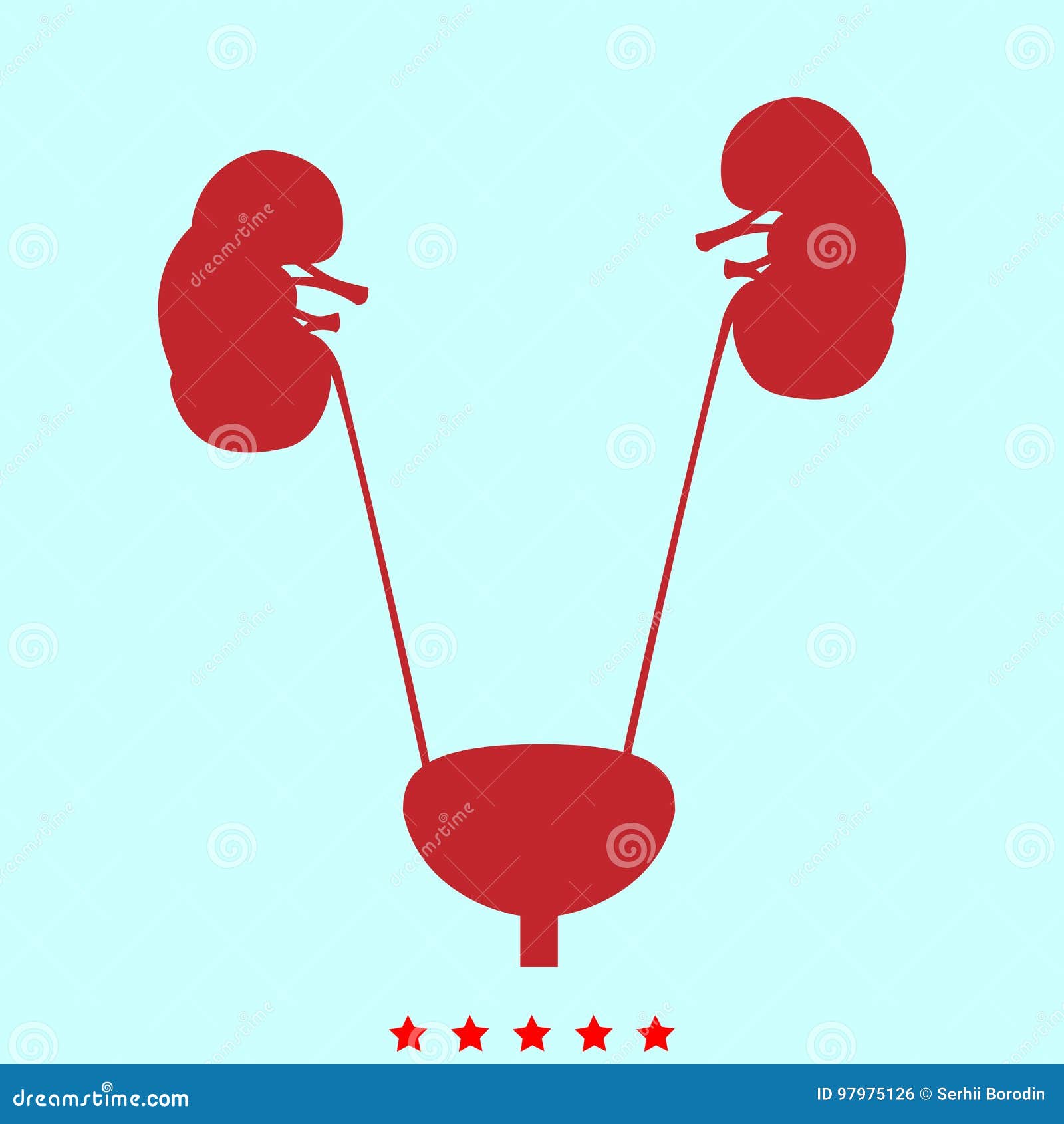 Bladder and Kidney it is Color Icon . Stock Vector - Illustration of ...