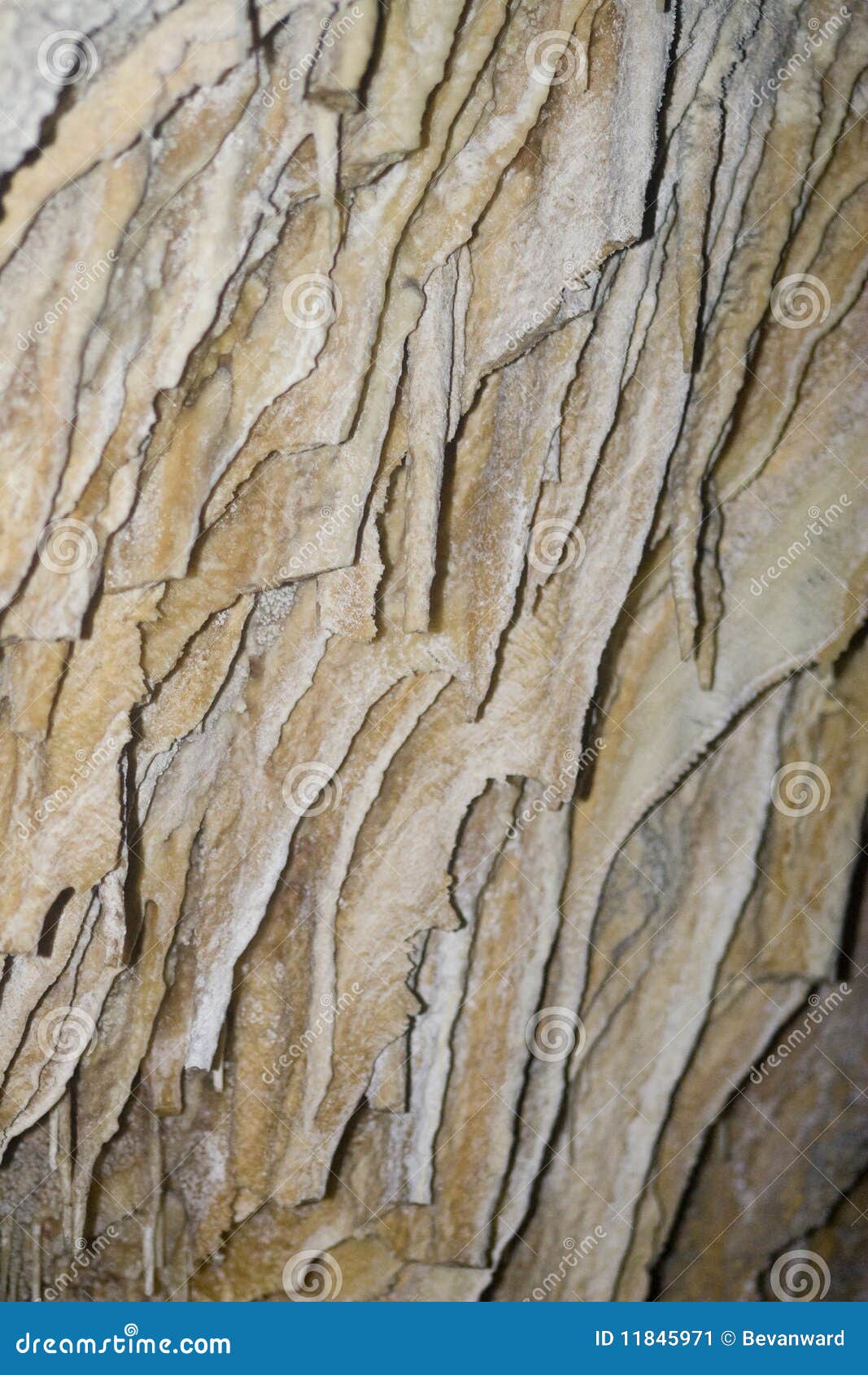 Blade Calcite Growths in Cave Stock Image - Image of geological ...