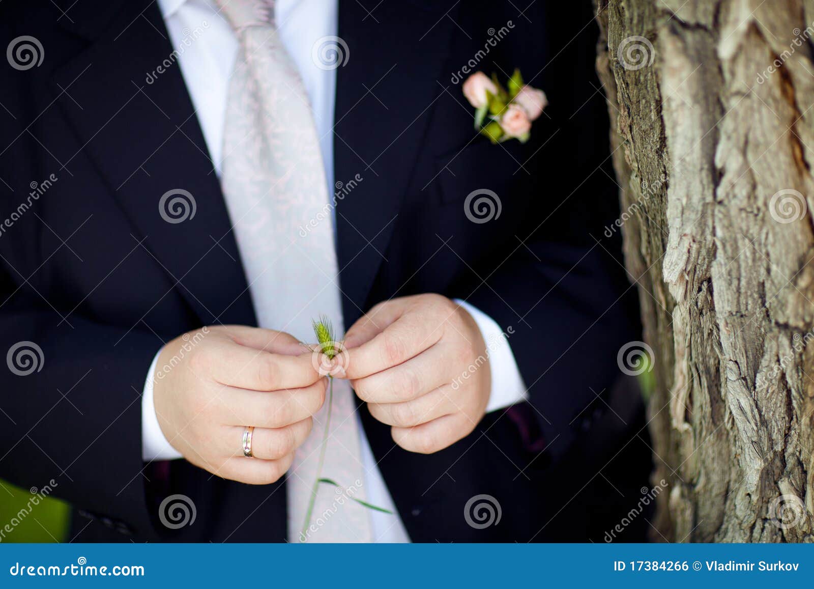 Blade in hands stock photo. Image of nature, black, excitement - 17384266