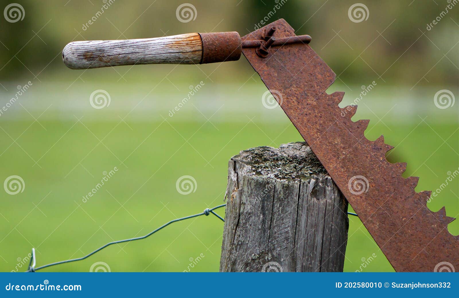 Neglected Rusty Rustic Saw on the Farm Stock Photo - Image of handle ...