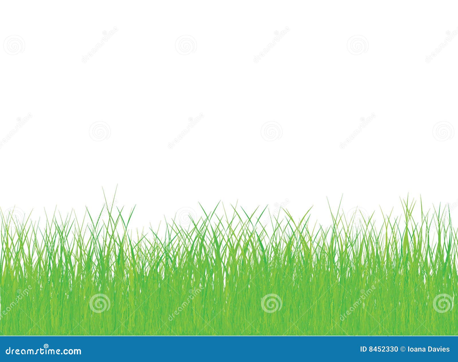 Blades of grass stock vector. Illustration of nature, bright - 8452330