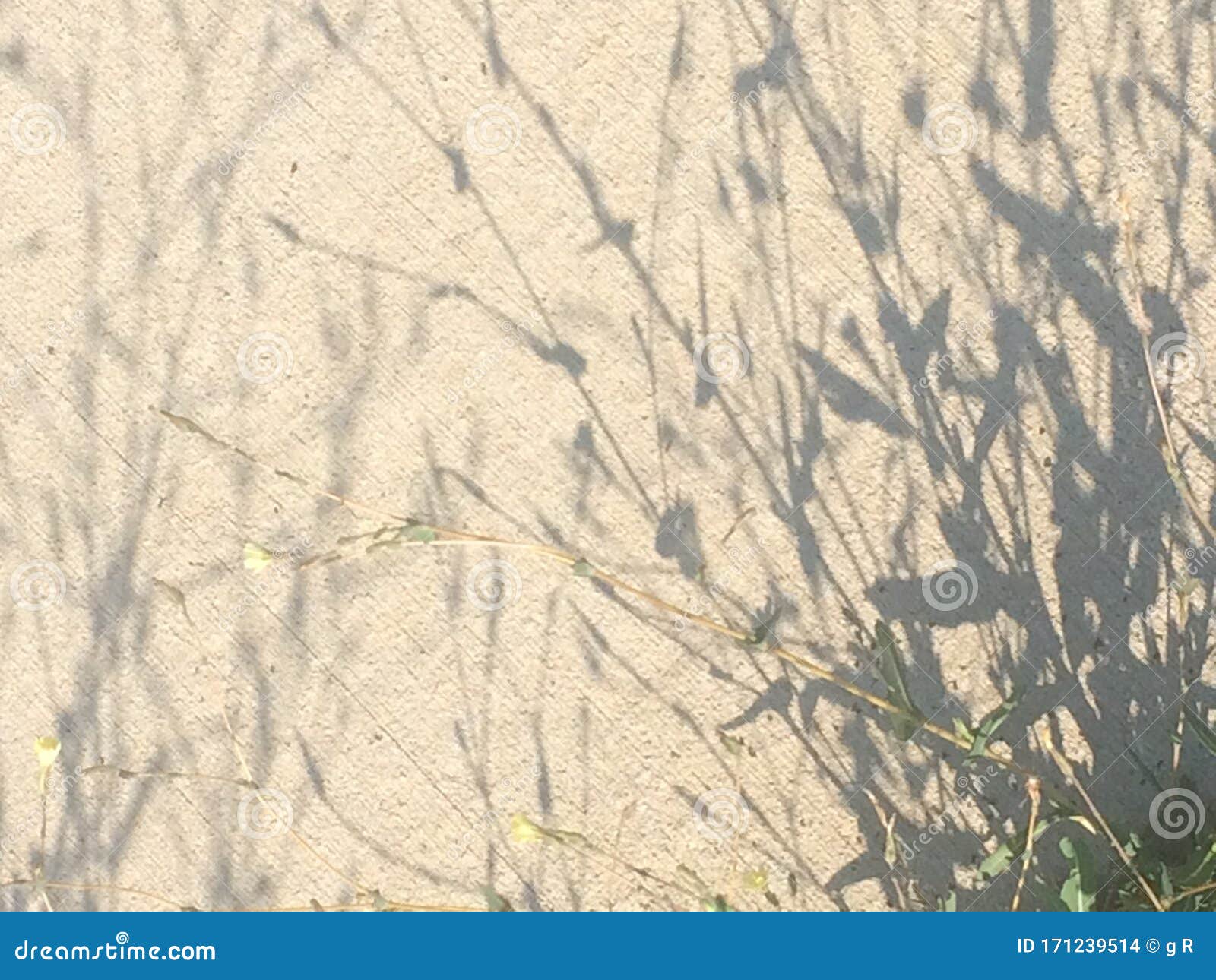 Summer shadows stock photo. Image of blades, shadows - 171239514