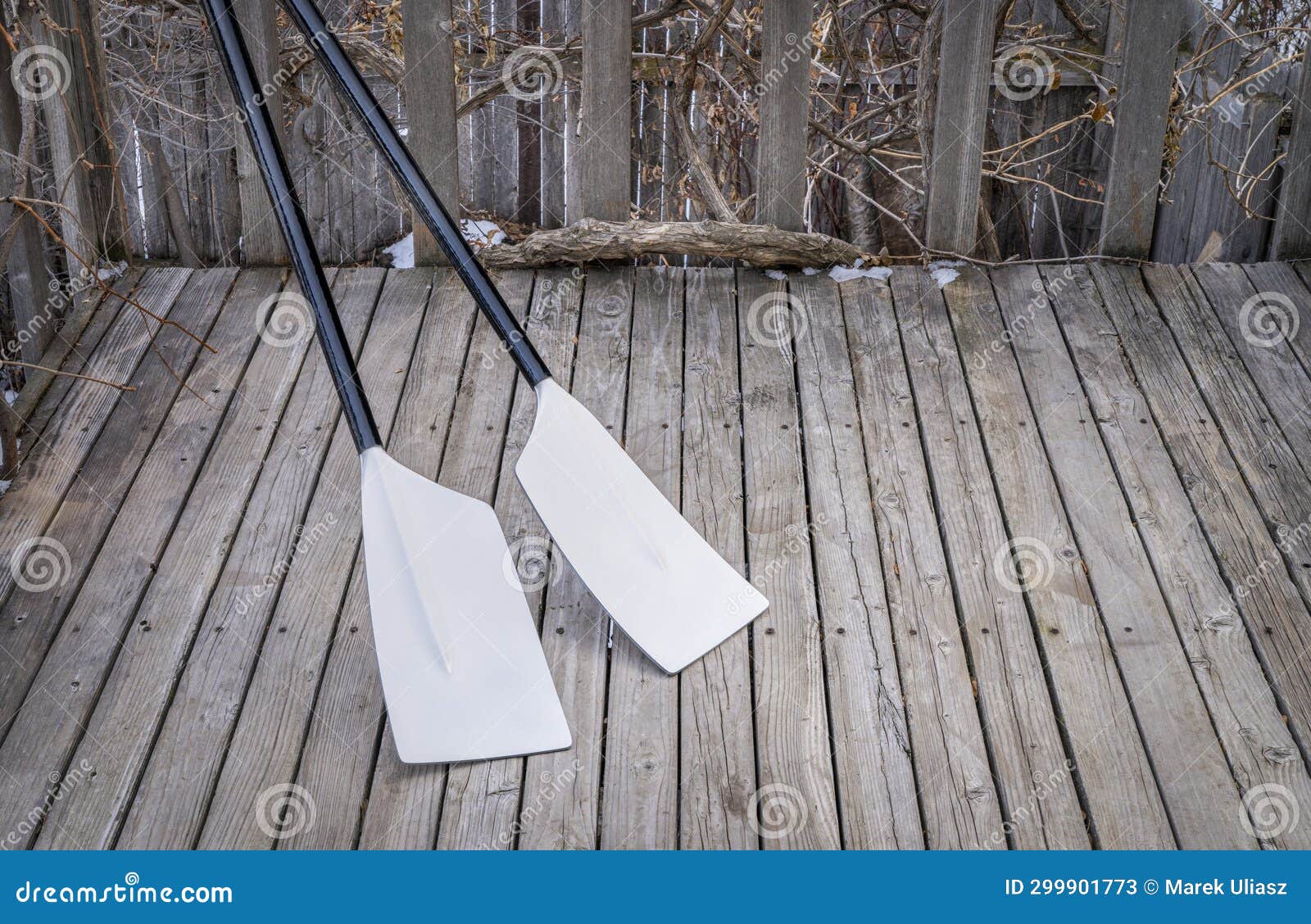 Blades of Hatchet Sculling Oars Against Grunge, Rustic Deck Stock Image ...
