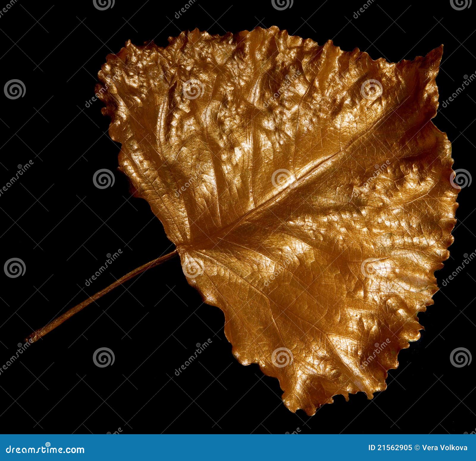 Bladguld fotografering för bildbyråer. Bild av falla - 21562905