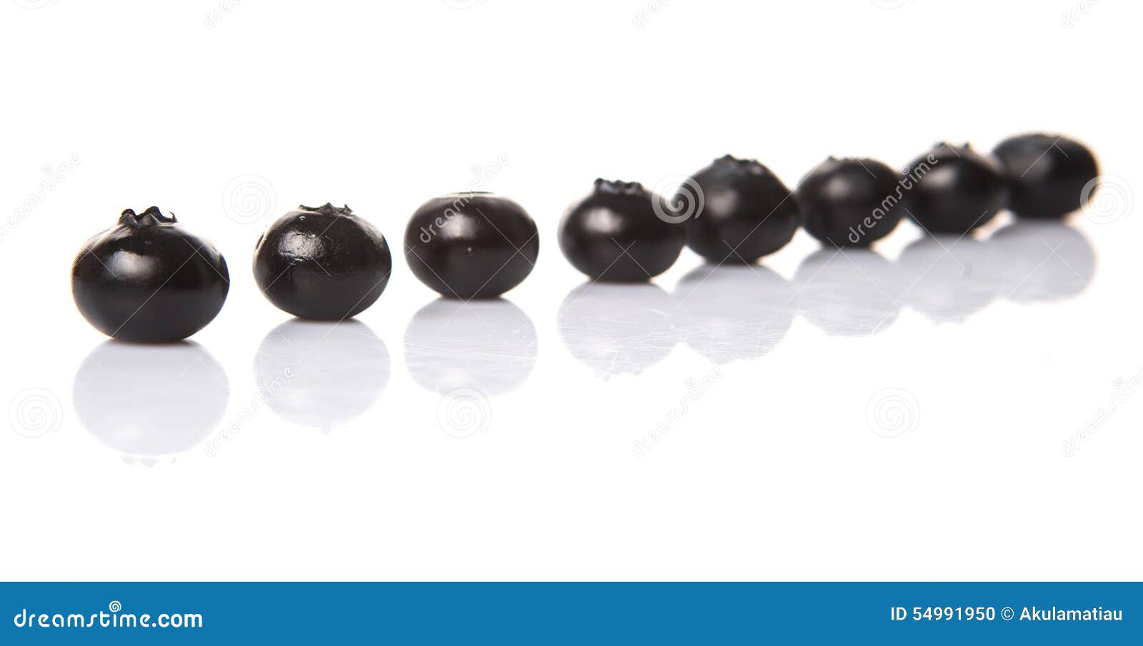Blaeberry or Bilberry I stock photo. Image of fruit, isolated - 54991950