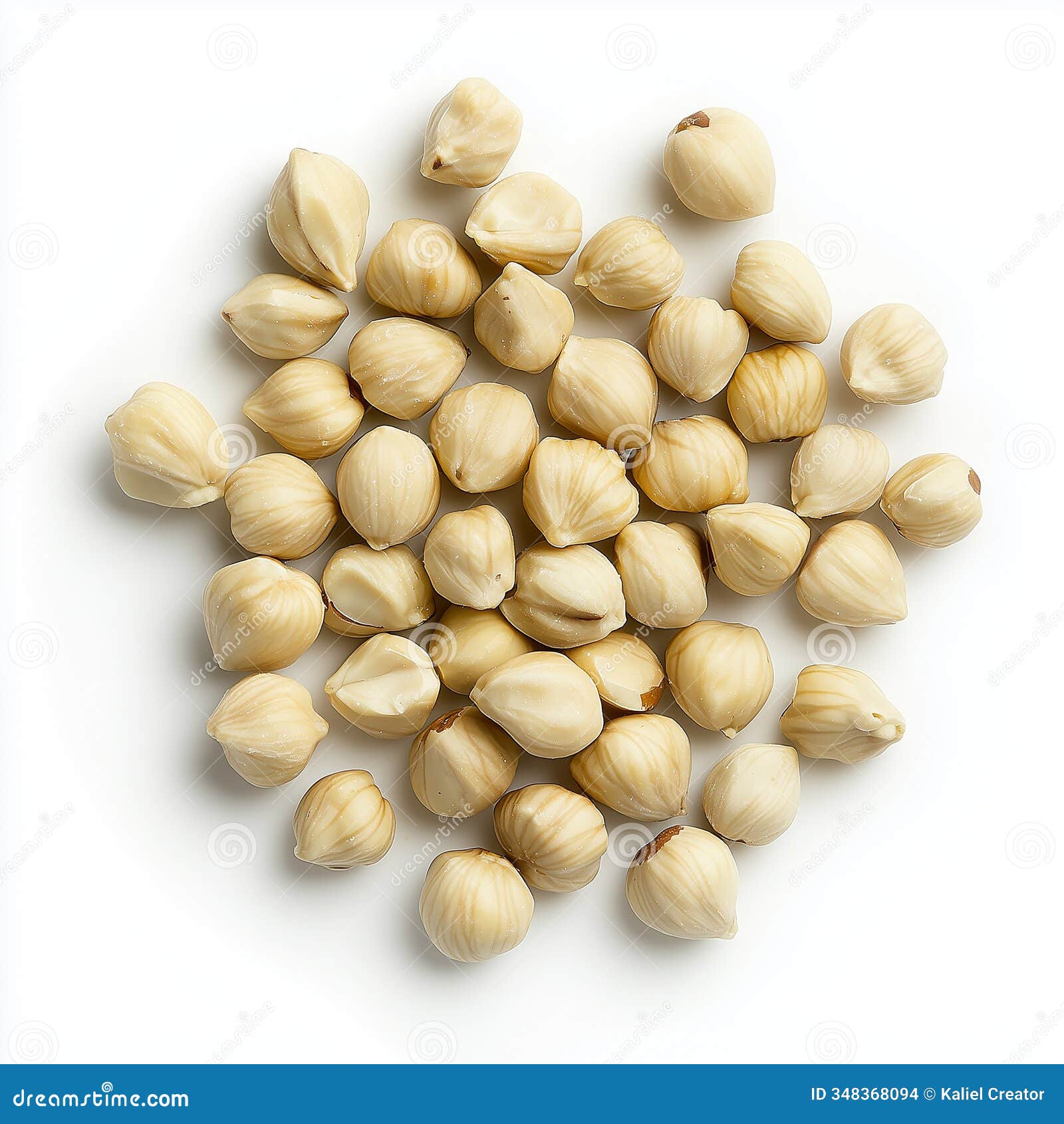 Blanched Hazelnut Kernels on White Background Stock Illustration ...