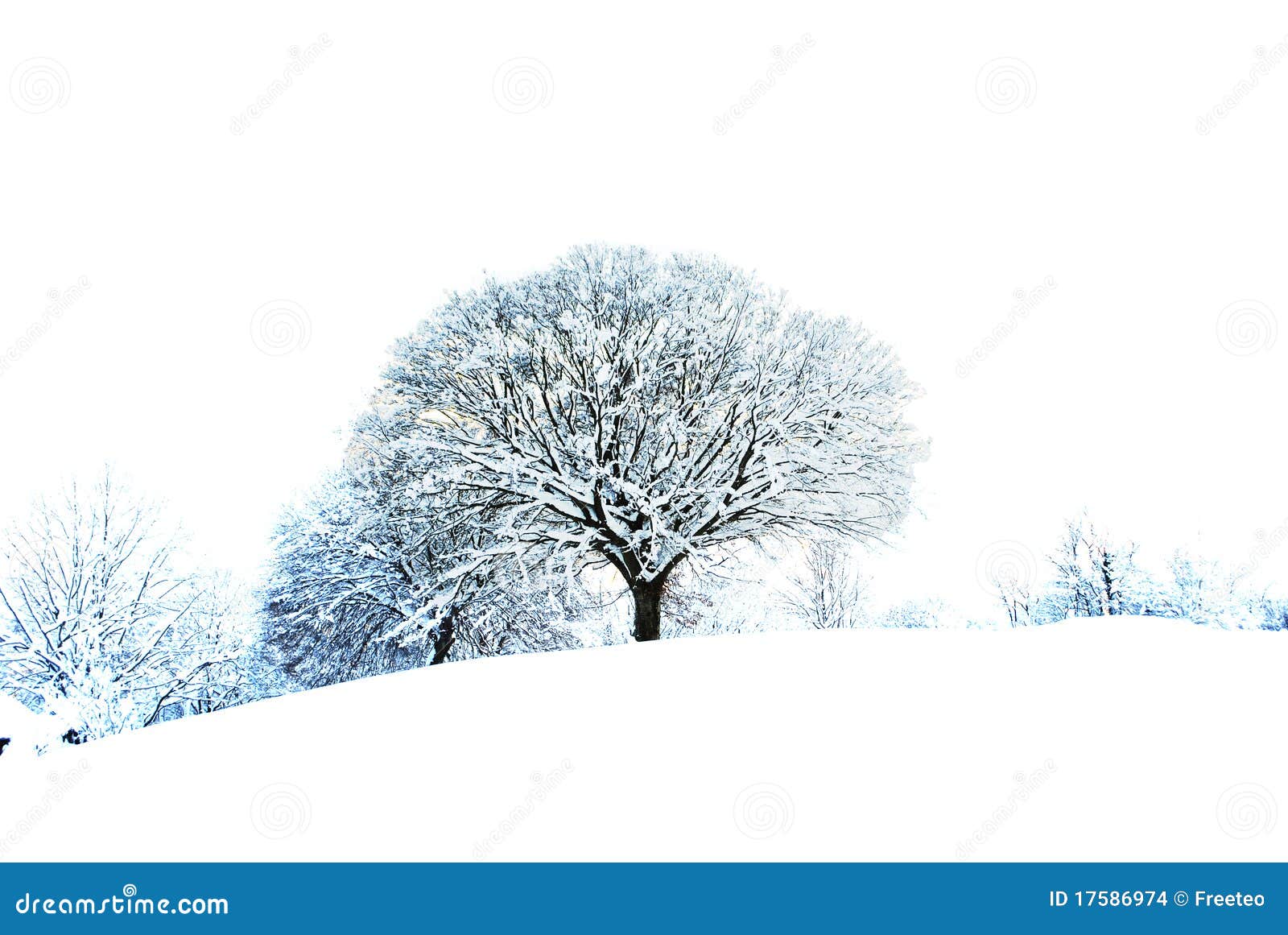 Blanco como la nieve foto de archivo. Imagen de apacible - 17586974