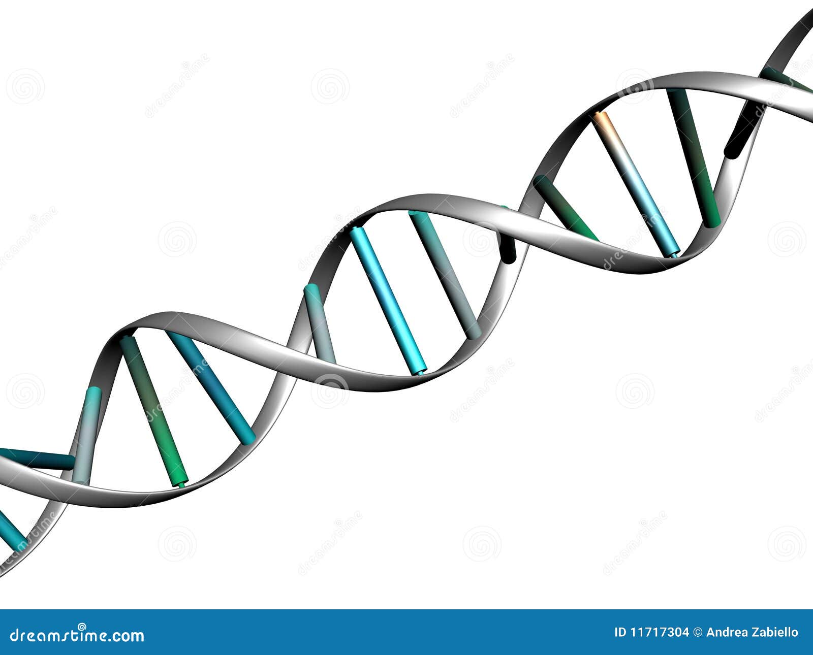 Blanco De La Cadena De La DNA Siolated Stock de ilustración ...