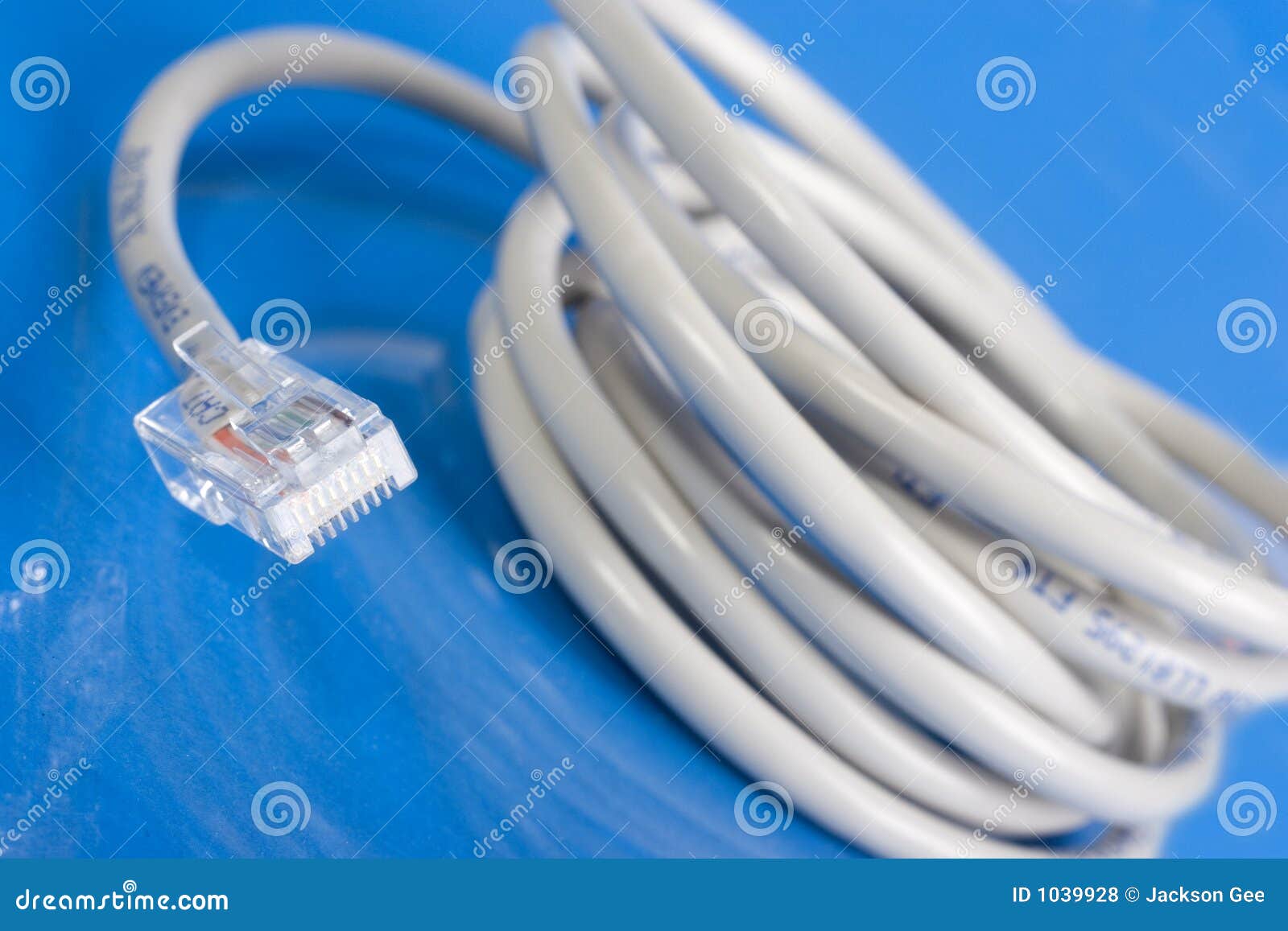 Blanco Del Cable Del Establecimiento De Una Red Foto de archivo ...