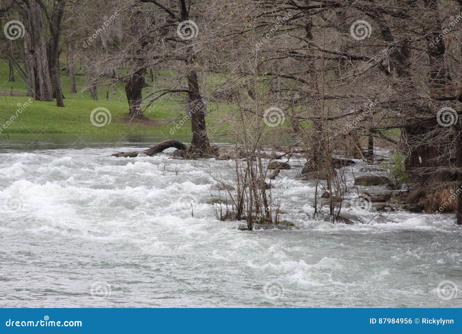 Blanco River stock photo. Image of rapids, landscape - 87984956