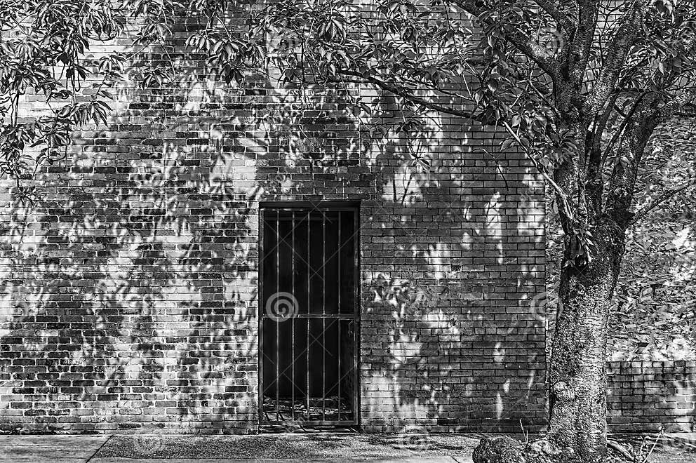 Blanco Y Negro Del Edificio, De La Puerta Y Del árbol Del Almiar Foto ...