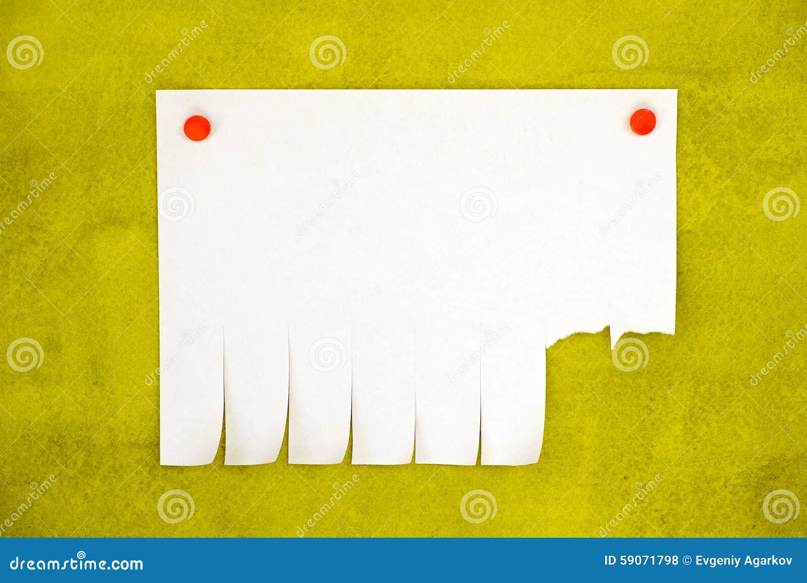 Blank Ads On The Green Background Stock Photo - Image of gallery, blank ...