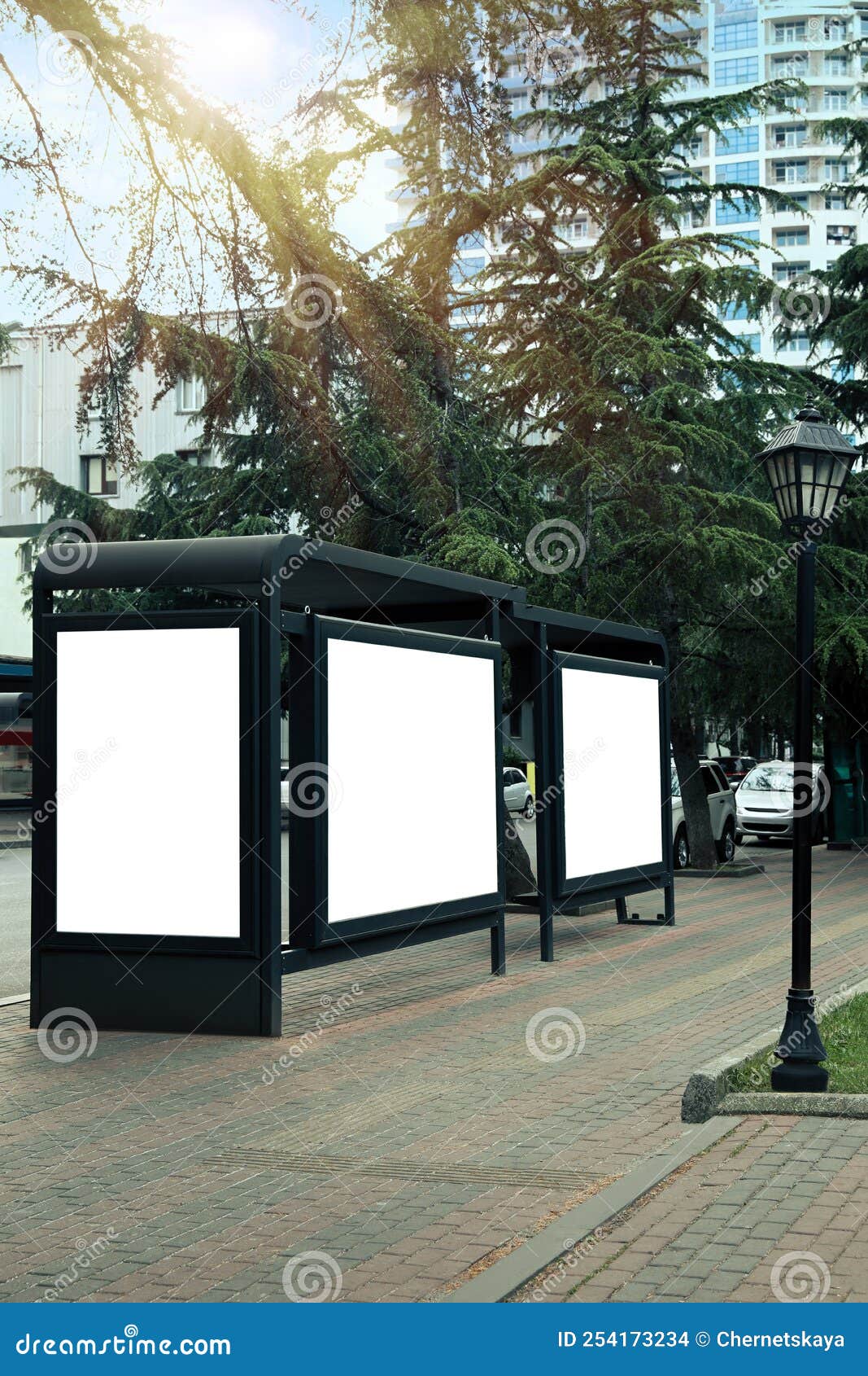 Blank Advertising Boards on Transport Stop. Space for Design Stock ...
